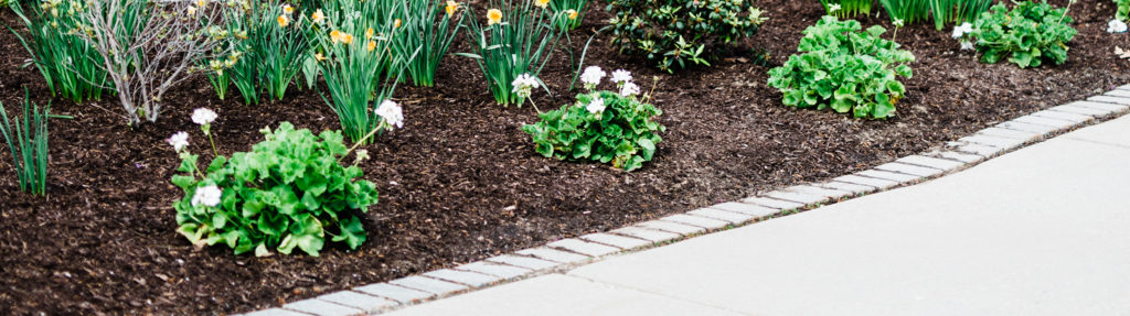 Facilities Summer Projects - mySJC Dashboard