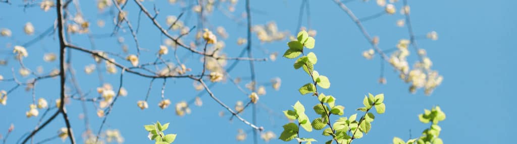 Celebrate and Learn from Catholic Sustainable Farming Leaders - mySJC ...