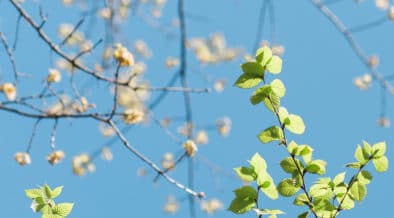 Celebrate and Learn from Catholic Sustainable Farming Leaders - mySJC ...